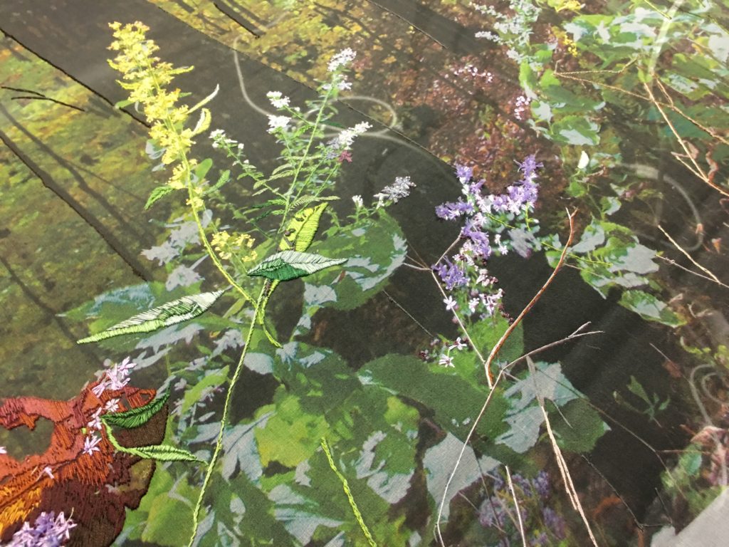 Lavish! captures nature’s beauty one stitch at a time - The Rambler