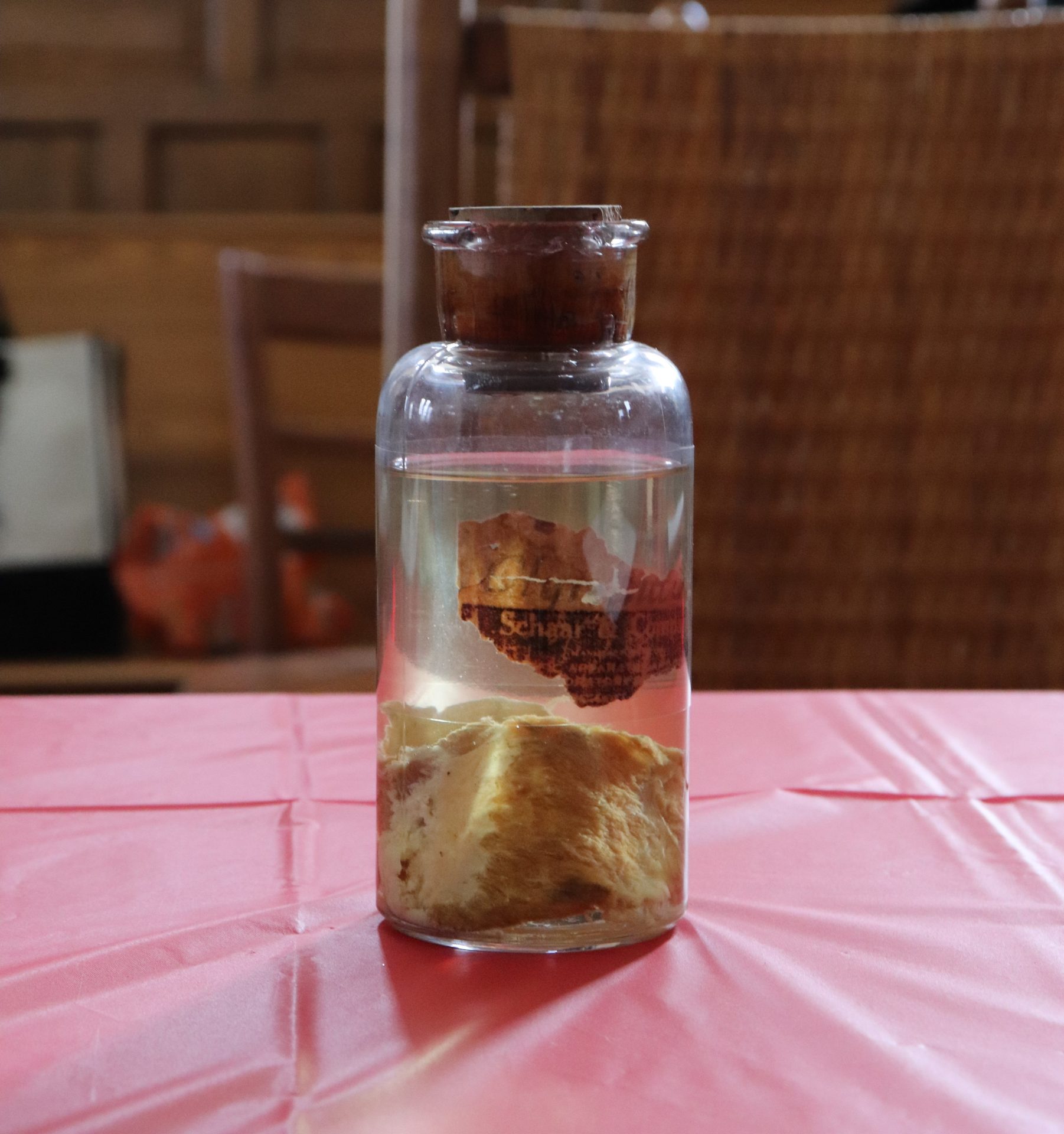 The Kentucky Meat Rain: A Strange Tale and An Intriguingly Meaty ...