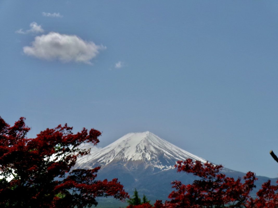 GALLERY: "Lights, Camera, Anime!" Japan Travel Abroad Captured in ...